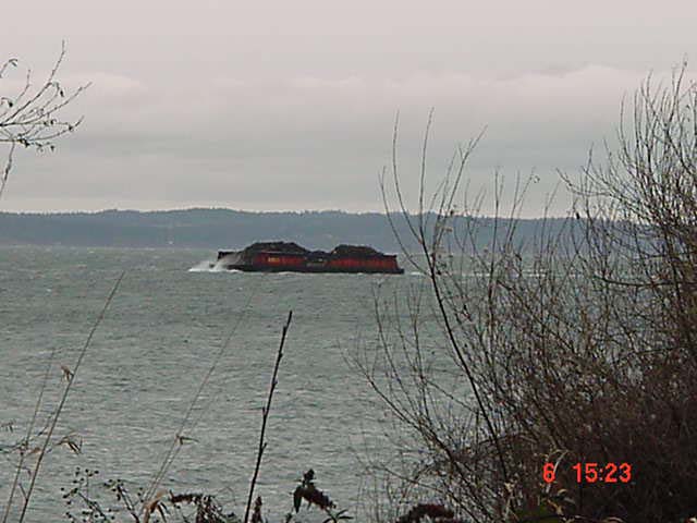 Point Wells Washington