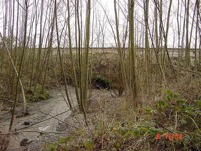 Point Wells Washington